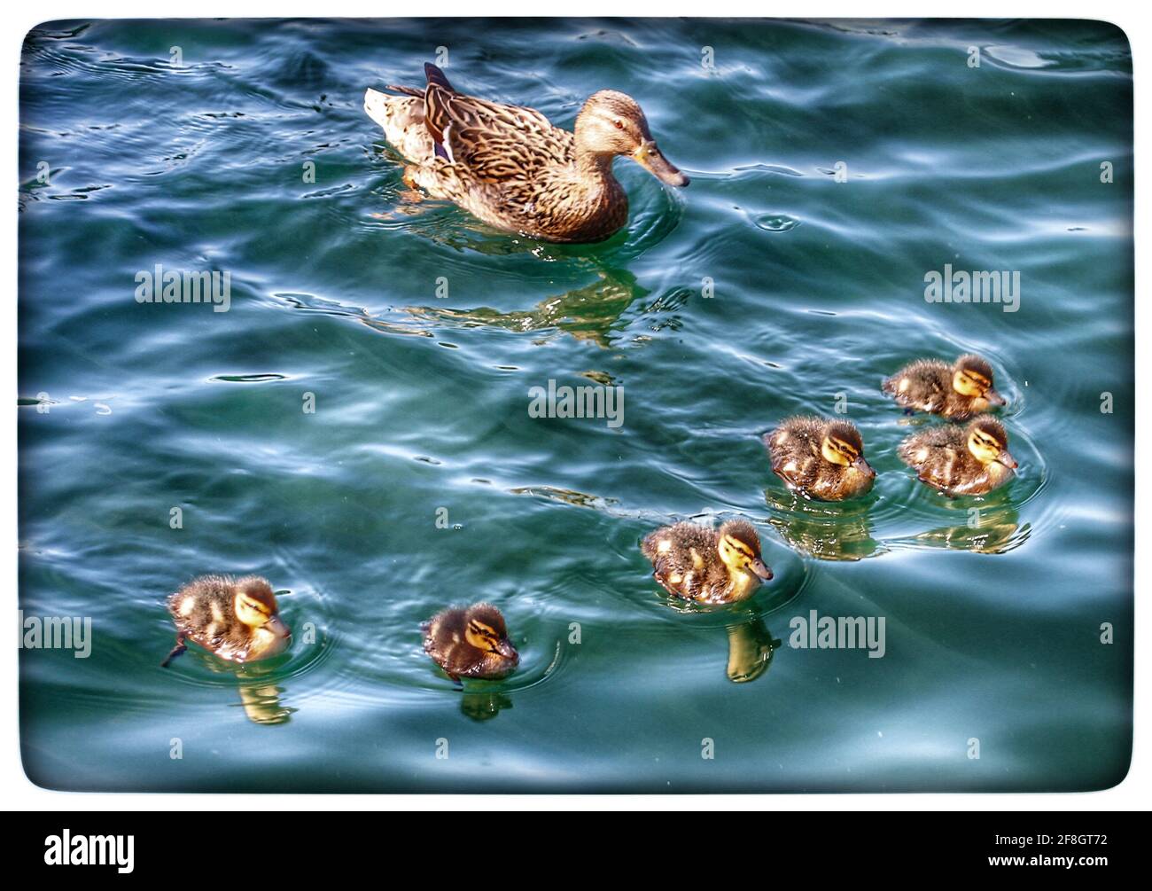 Southport credit Ian Fairbrother/Alamy Stock Photos Stock Photo - Alamy