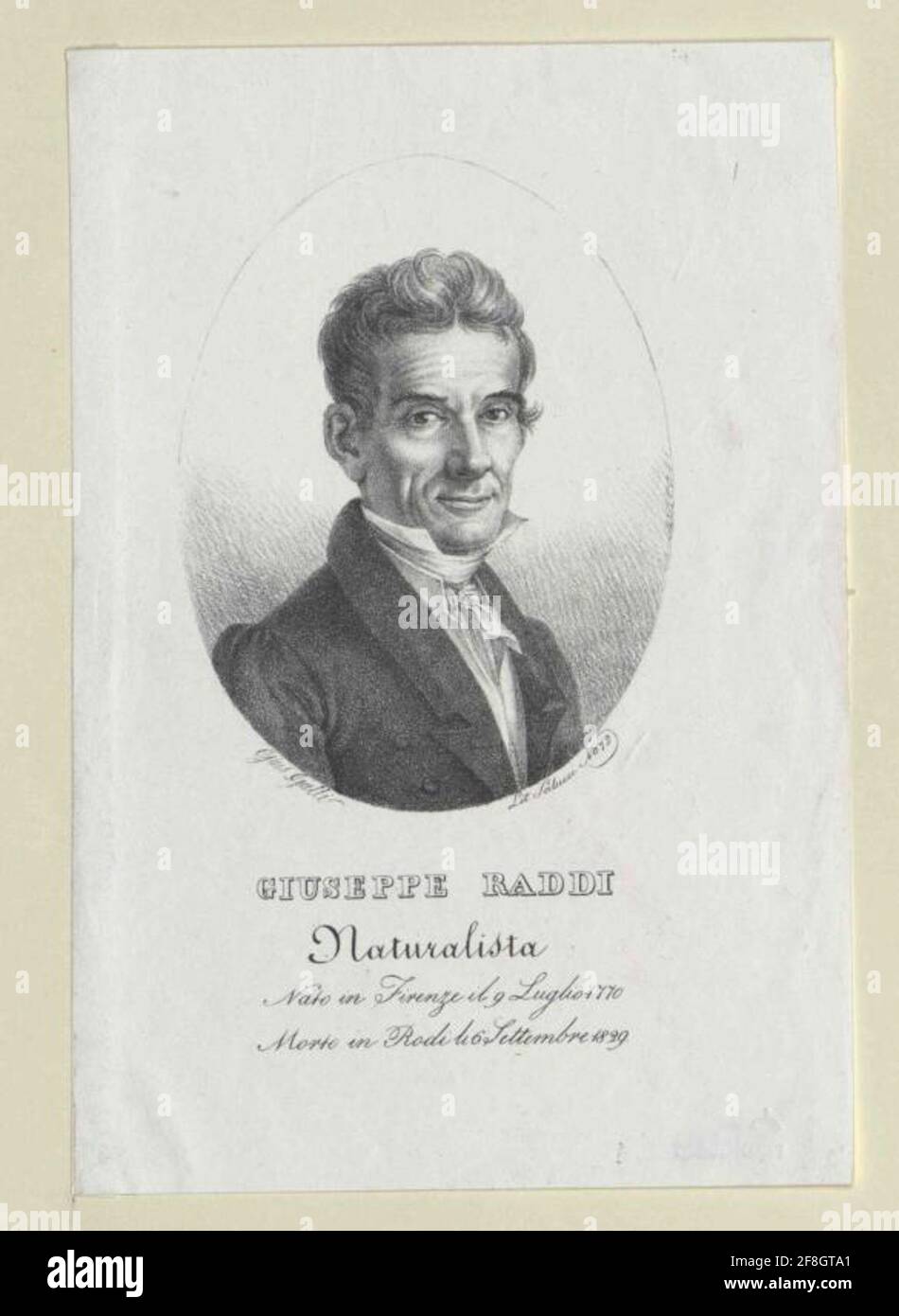 Raddi hi-res stock photography and images - Alamy