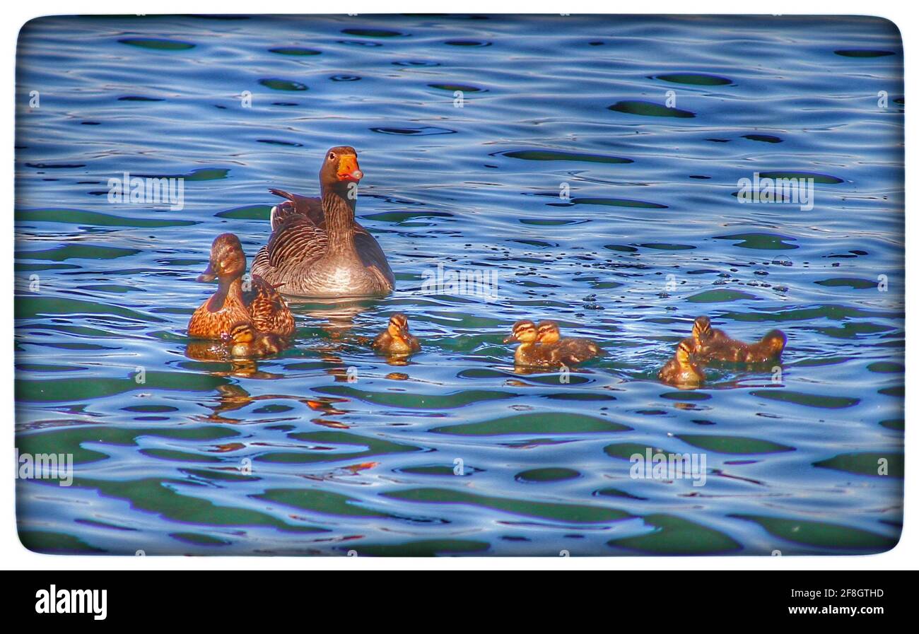 Southport credit Ian Fairbrother/Alamy Stock Photos Stock Photo - Alamy