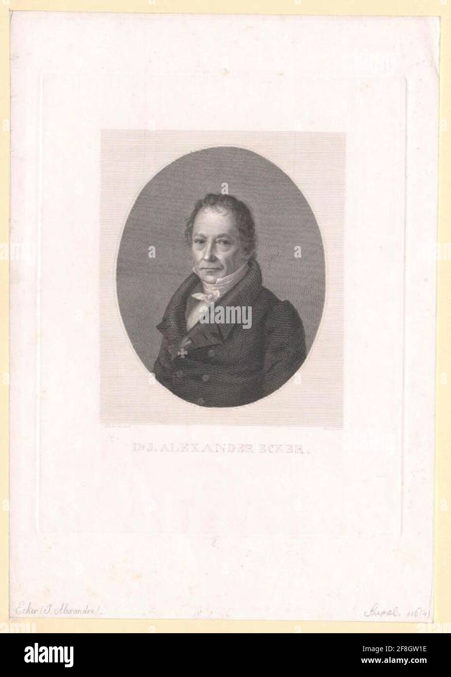 Johann alexander ecker hi-res stock photography and images - Alamy