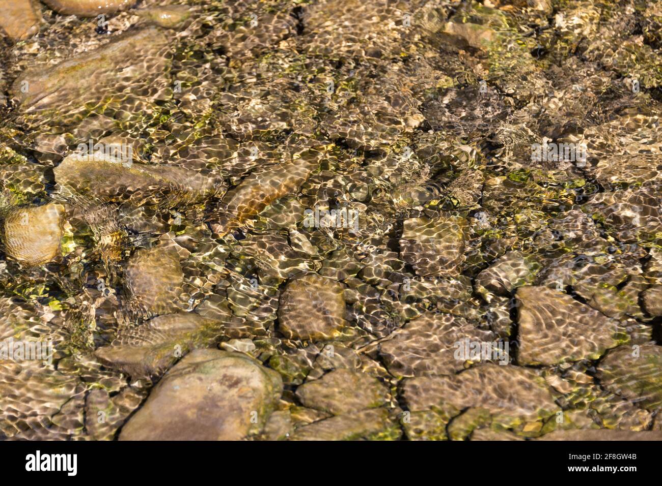 Natural surface rippling sea tropical hi-res stock photography and ...