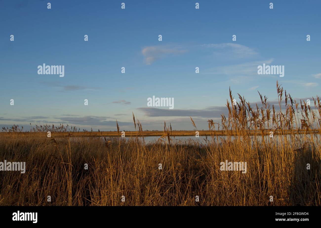 Beautiful Landscape field Stock Photo - Alamy