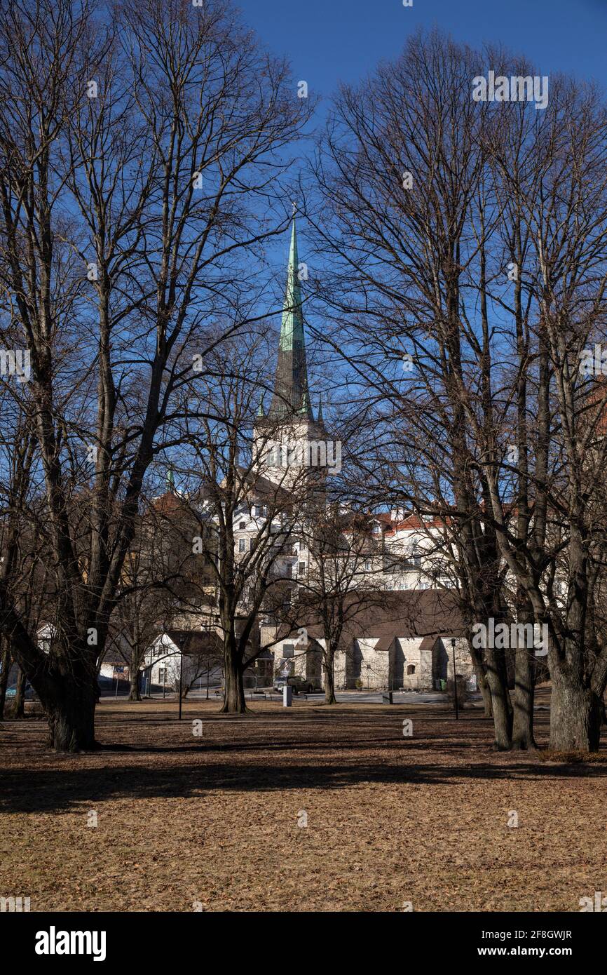 beautiful medieval Tallinn old town in Estonia Stock Photo - Alamy