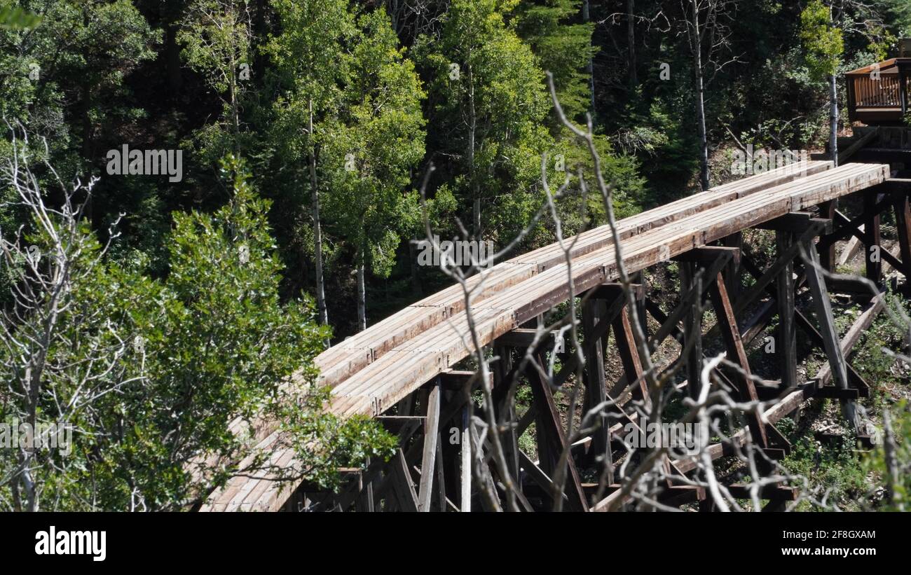 Old RailRoad Through Forest Stock Photo - Alamy