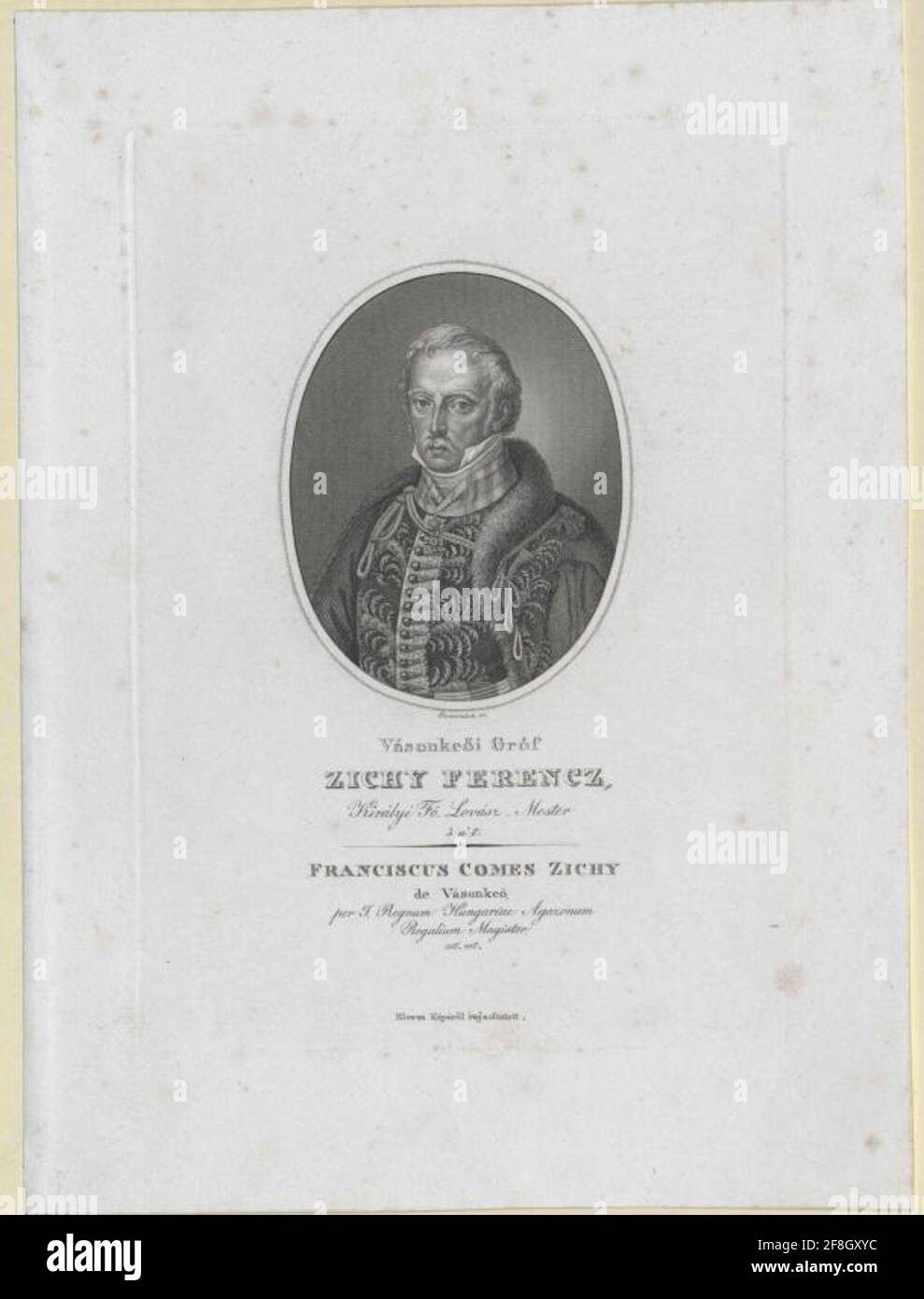 Tichy-trailing-Vásonykey, Frant's grave Stock Photo - Alamy