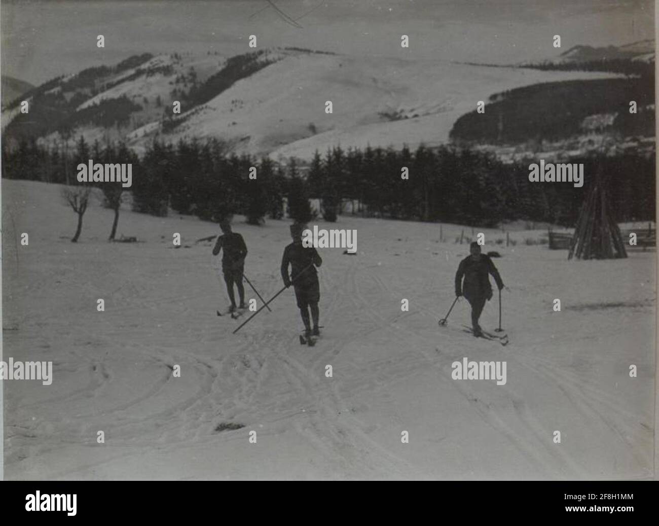 Dorna Watra (Romania) Colonel of Ruzicic, Rittmeister of Szabo Stock ...