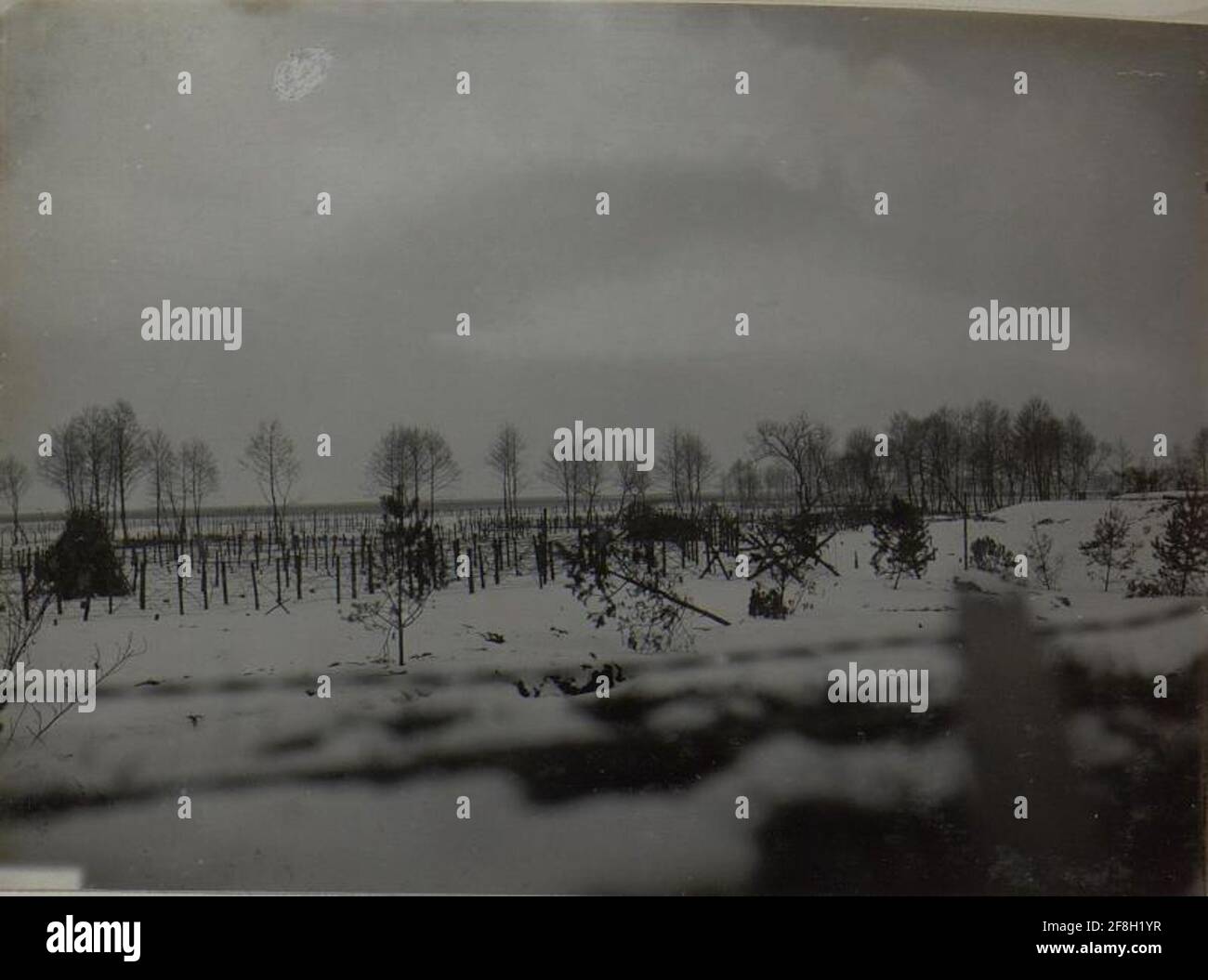 Enemy view from the position of the Infantry Regiment 4 Stock Photo - Alamy