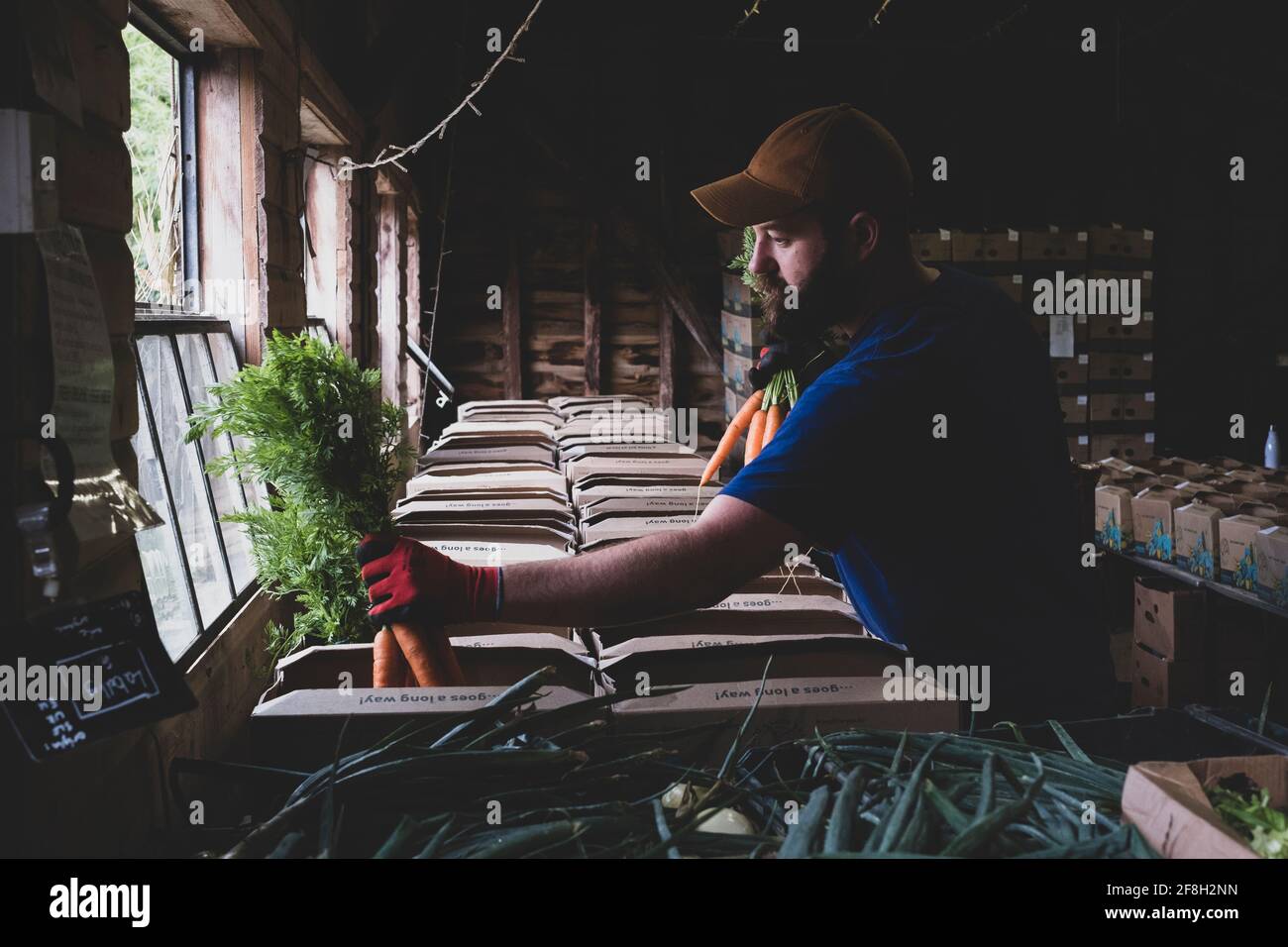 Farmer standing in a farm shop, packing fruit and vegetable boxes Stock ...