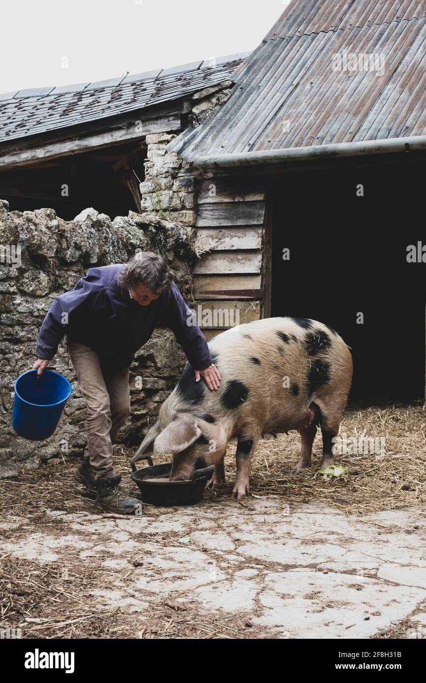 Mint images limited Stock Photos & Images from Alamy