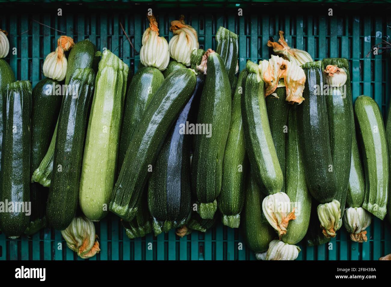 High angle close up of freshly picked courgettes Stock Photo - Alamy