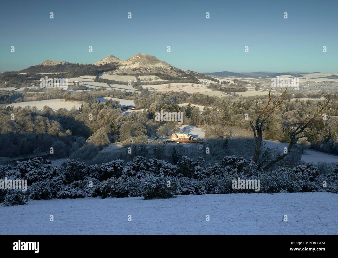 View of the Eildon Hills from Scott's View on a frosty spring morning ...