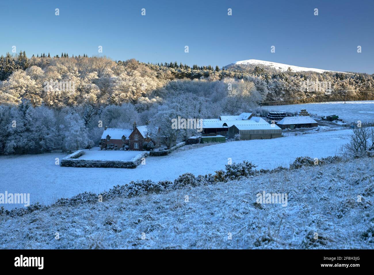 Borders farm hi-res stock photography and images - Alamy