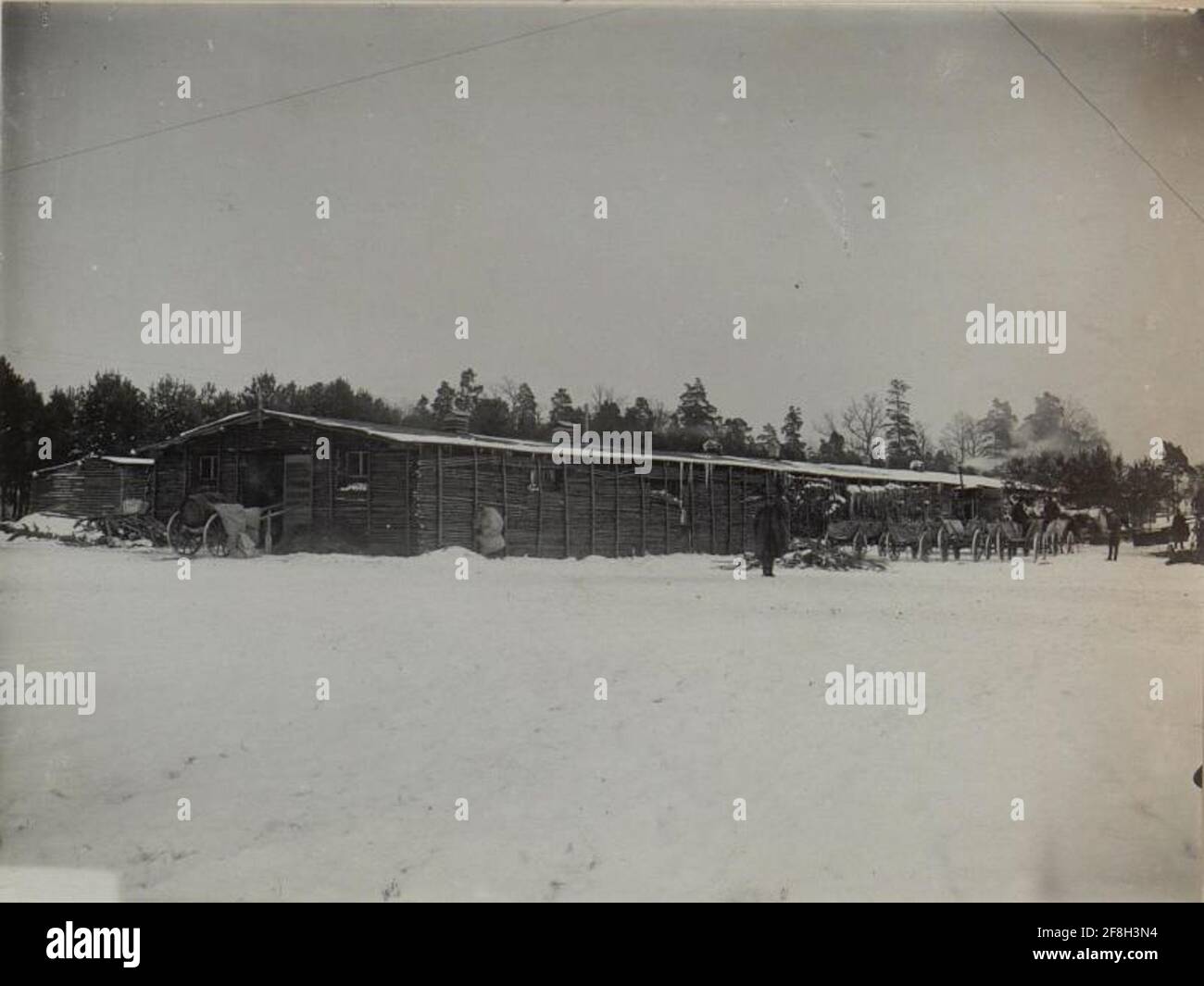 Winterstall for 100 horses, made from tree trunks Stock Photo - Alamy
