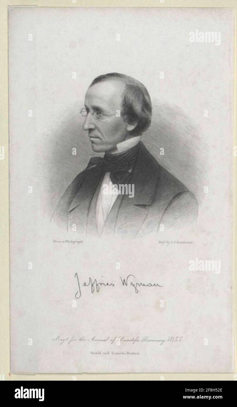 Jeffries wyman hi-res stock photography and images - Alamy