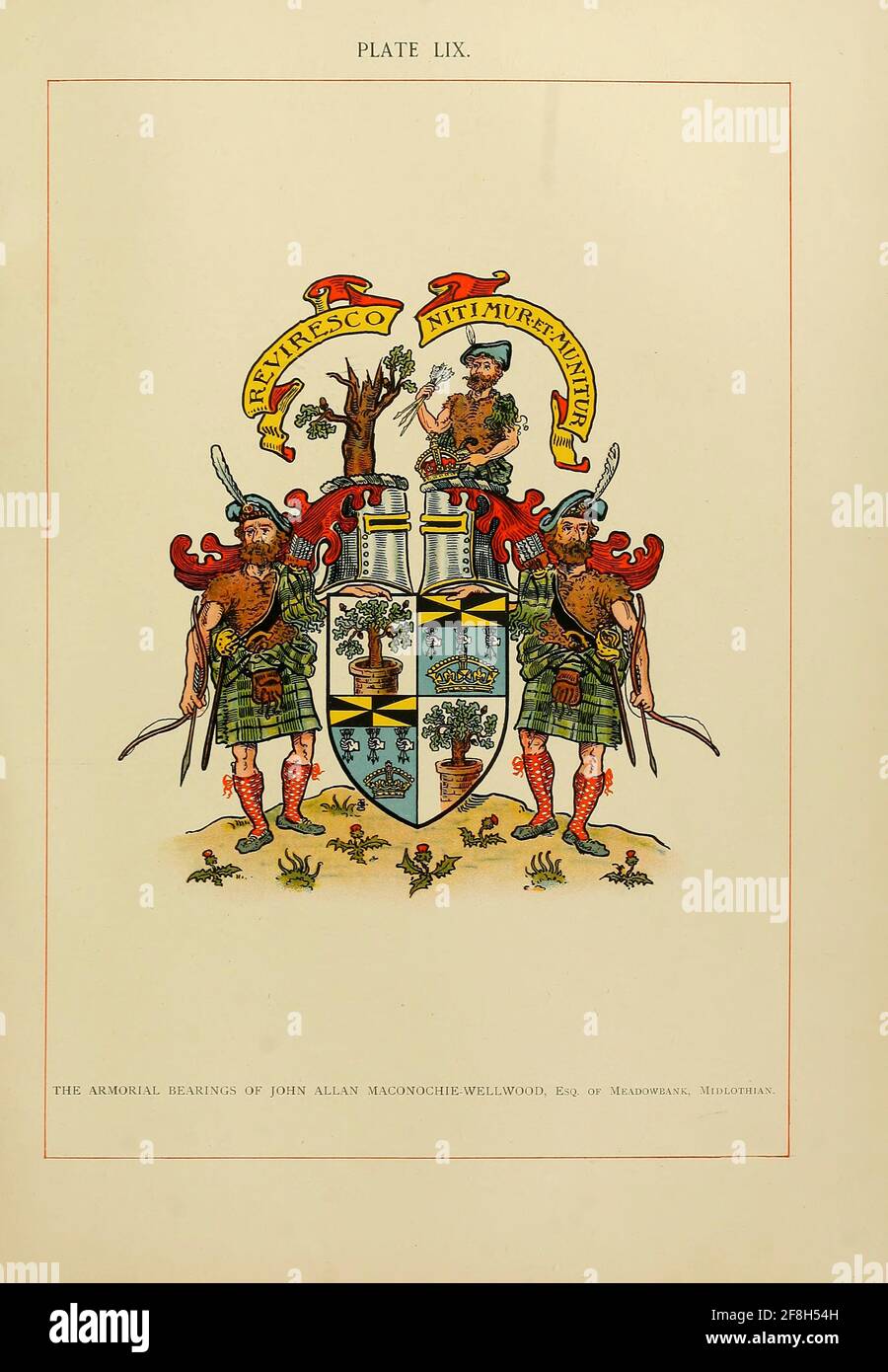 Royal heraldry hi-res stock photography and images - Alamy