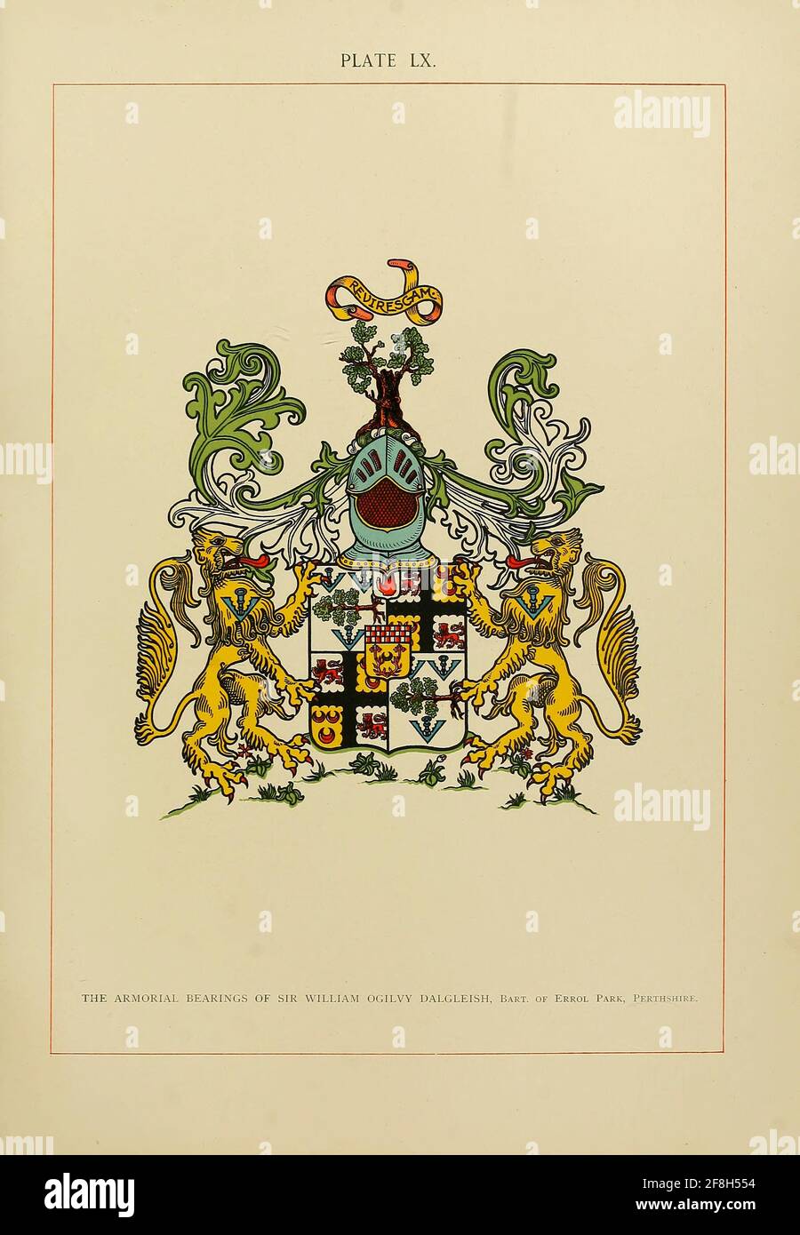 Heraldry hi-res stock photography and images - Alamy