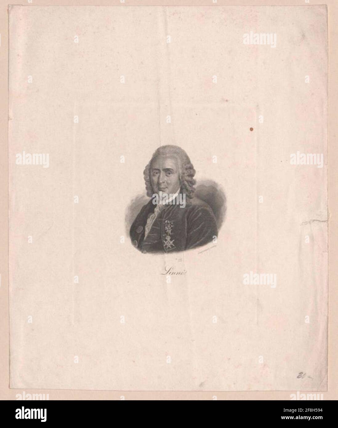 Linné, Charles of Stock Photo - Alamy