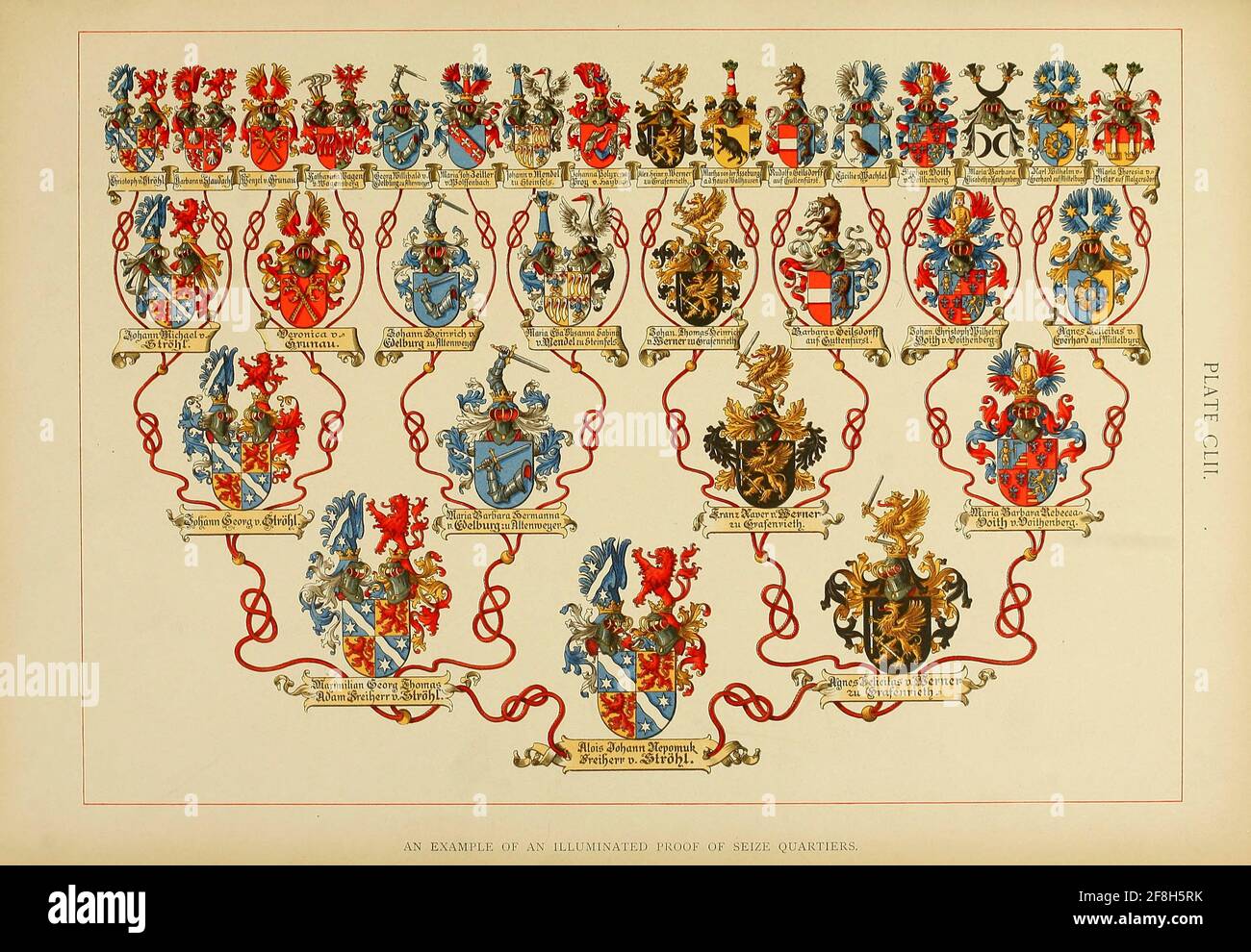 Heraldry hi-res stock photography and images - Alamy
