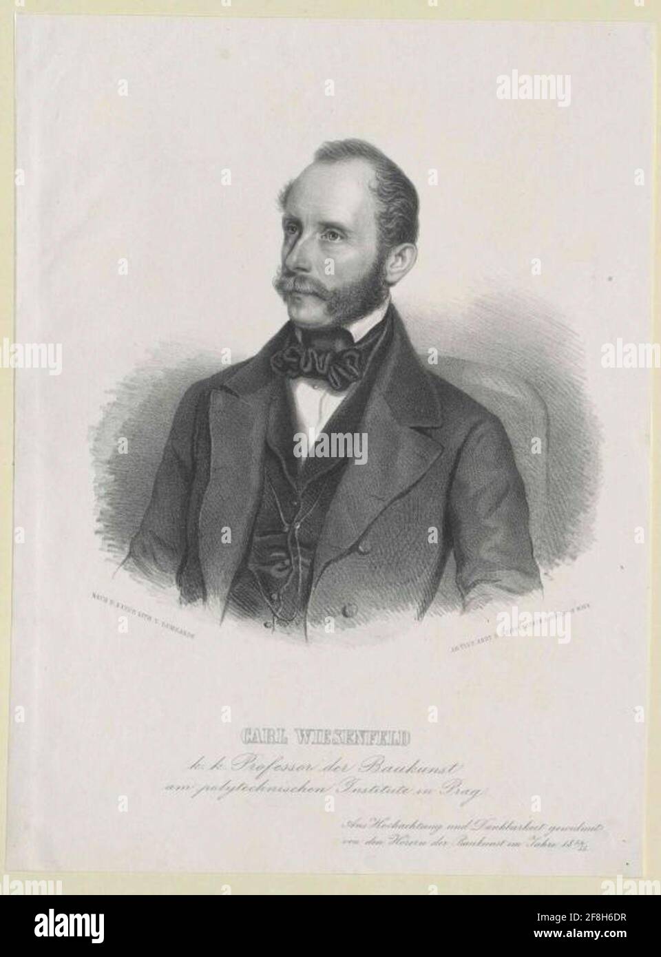 Wiesenfeld hi-res stock photography and images - Alamy