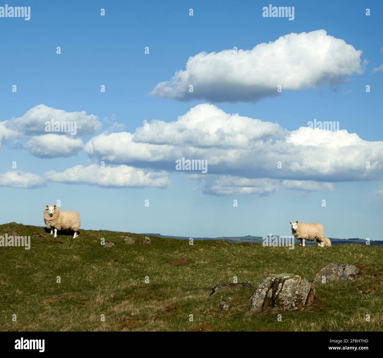 Scottish borders big sky hi-res stock photography and images - Alamy