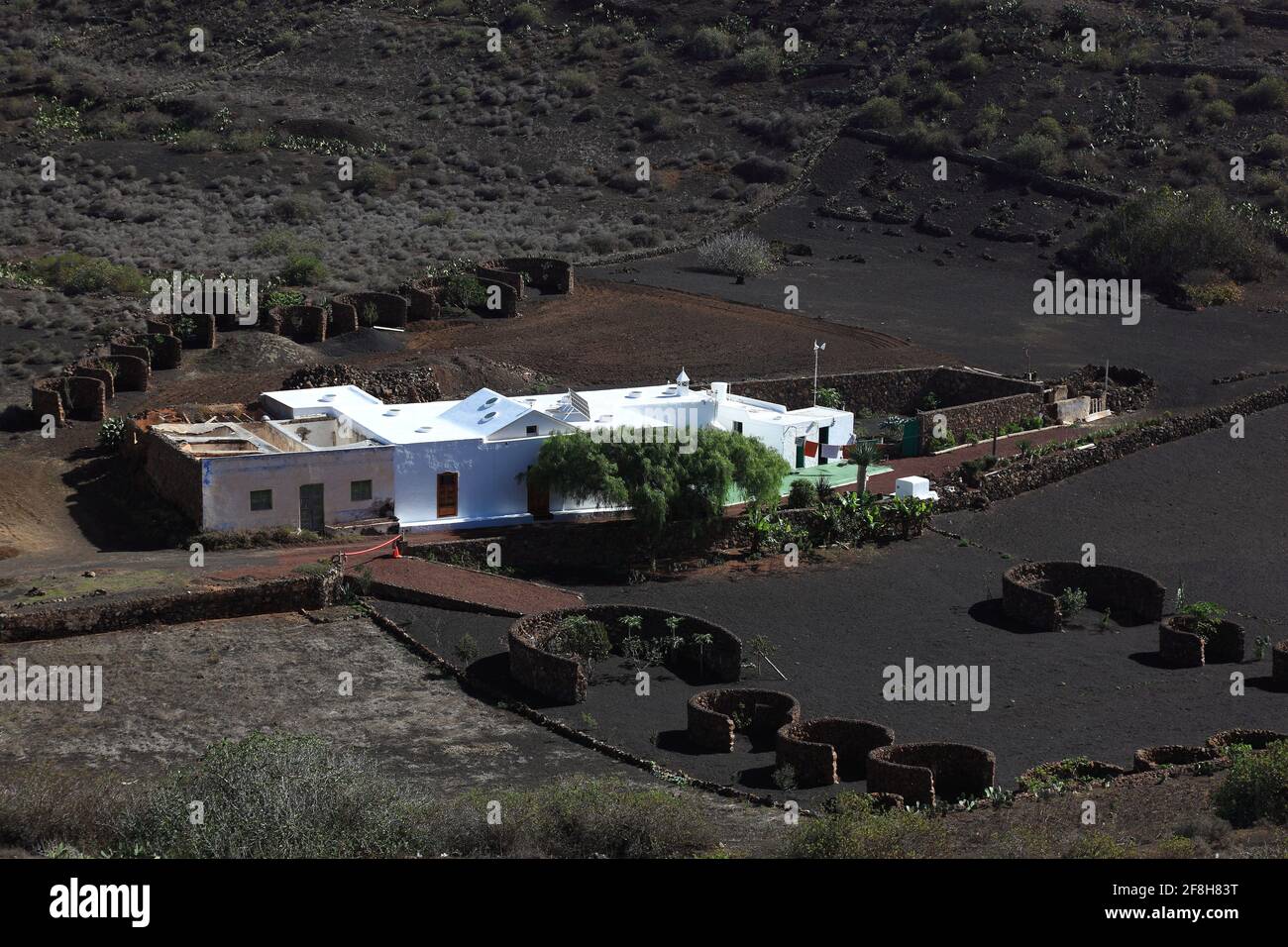Farm near Haria, Lanzarote, Canary islands, canaries, spain Stock Photo ...