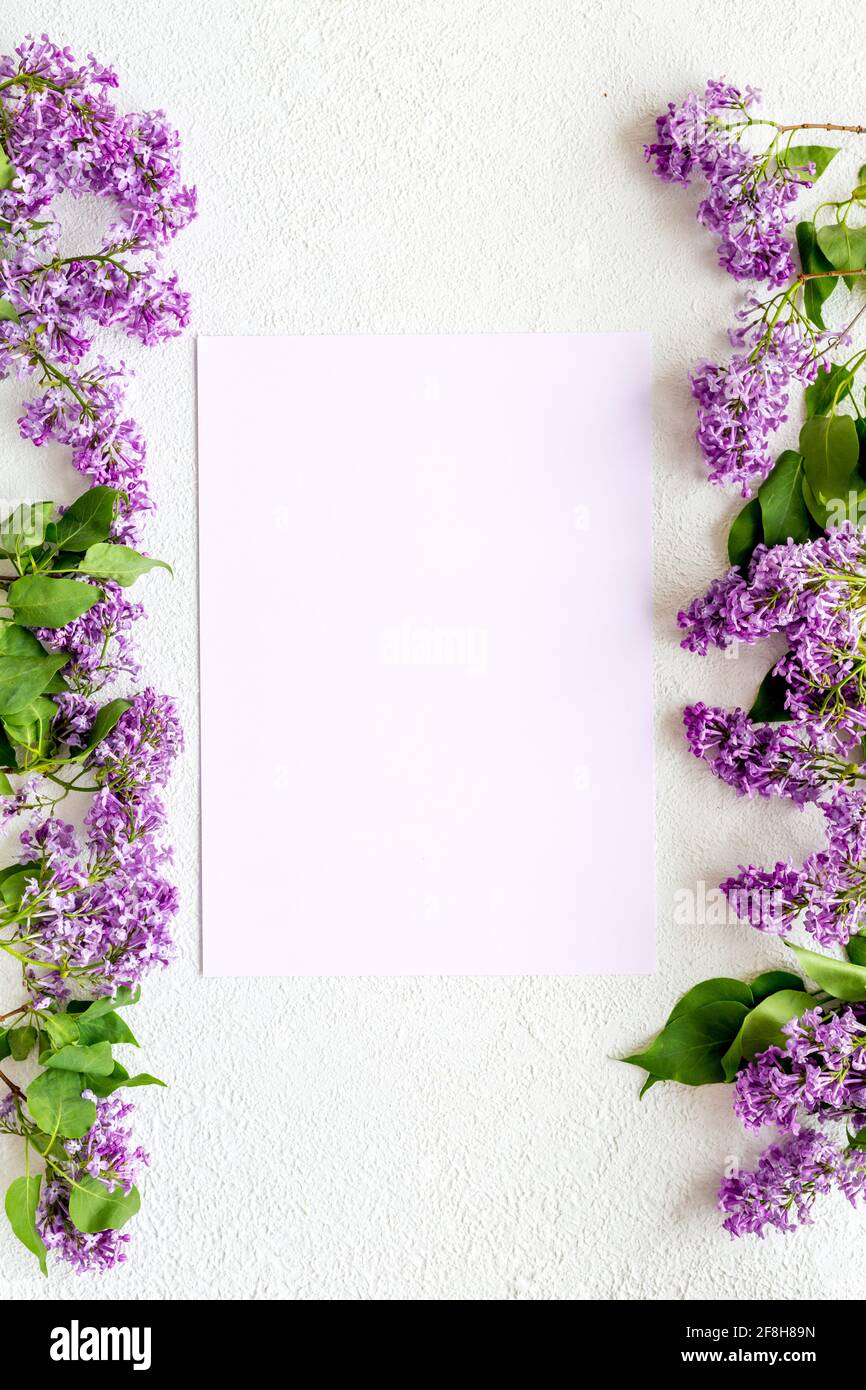 Border of spring lilac flowers. Flat lay, top view Stock Photo - Alamy