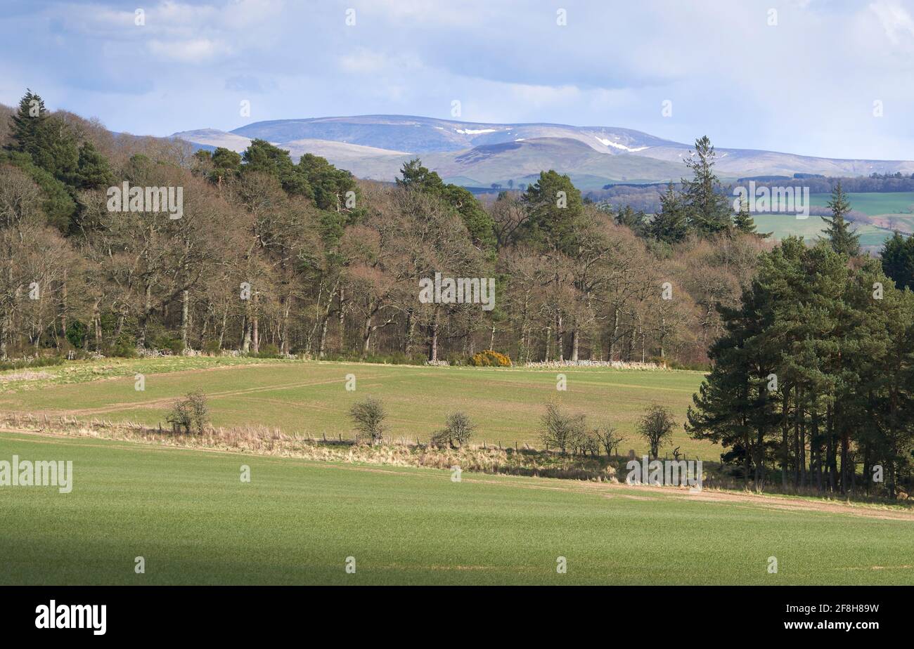 Spring view from Scotland to England. Near Harestanes looking across to ...
