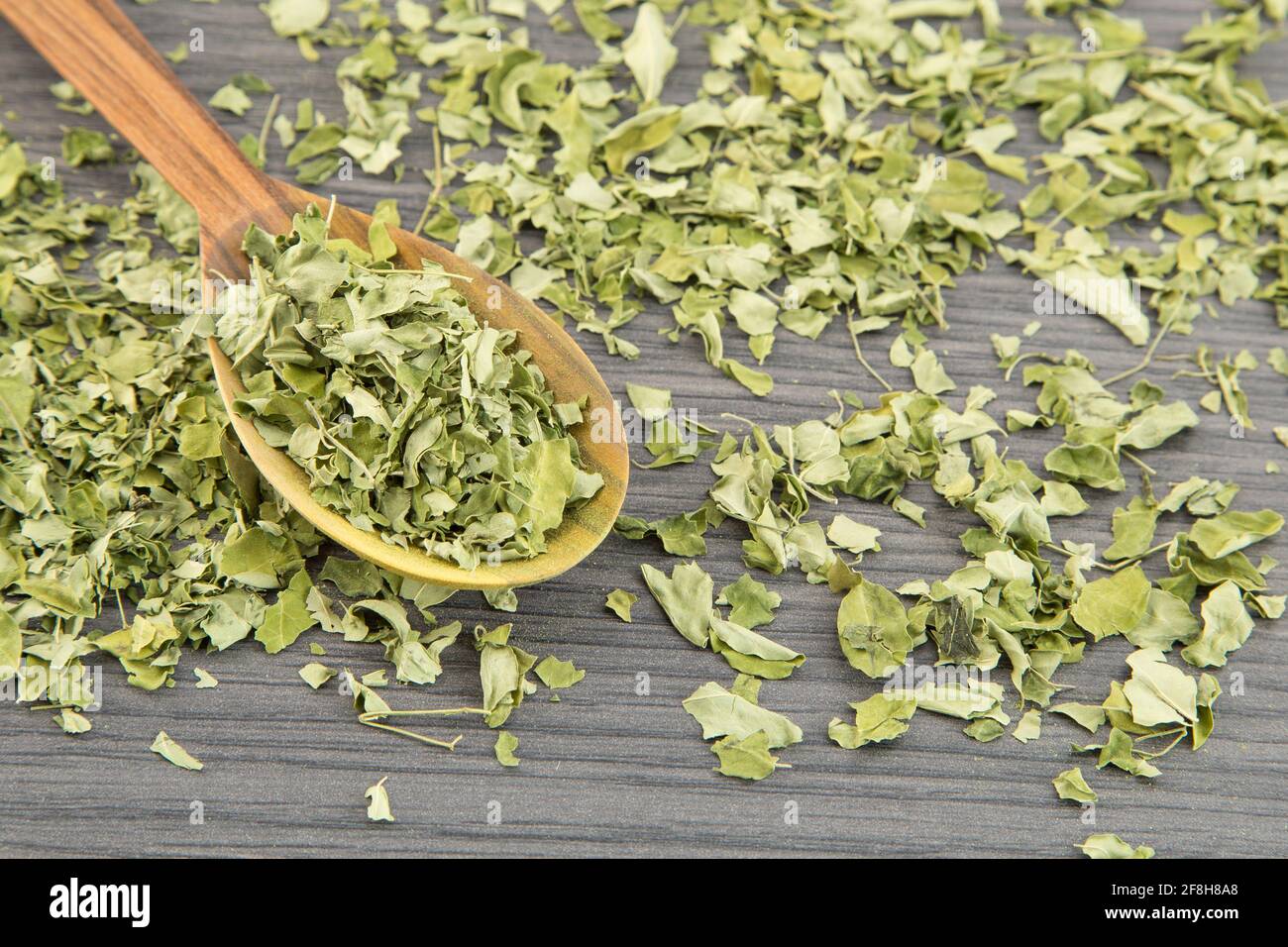 Moringa leaves - Moringa oleifera Stock Photo - Alamy