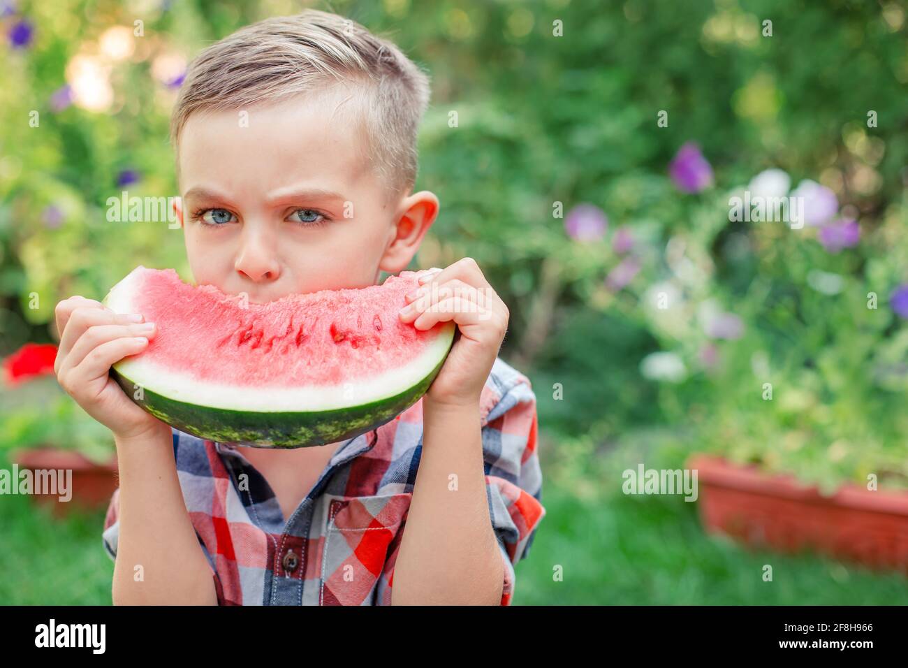 Happy child eating watermelon in the garden. Kids eat fruit outdoors ...