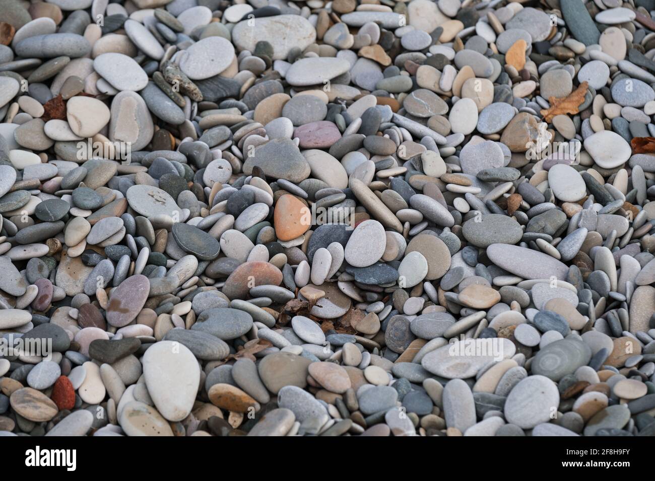 Small sea pebbles. Texture is made of natural stones of different ...