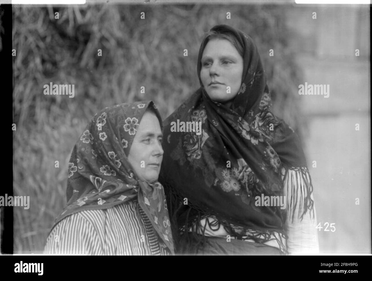 Volhynian village hi-res stock photography and images - Alamy