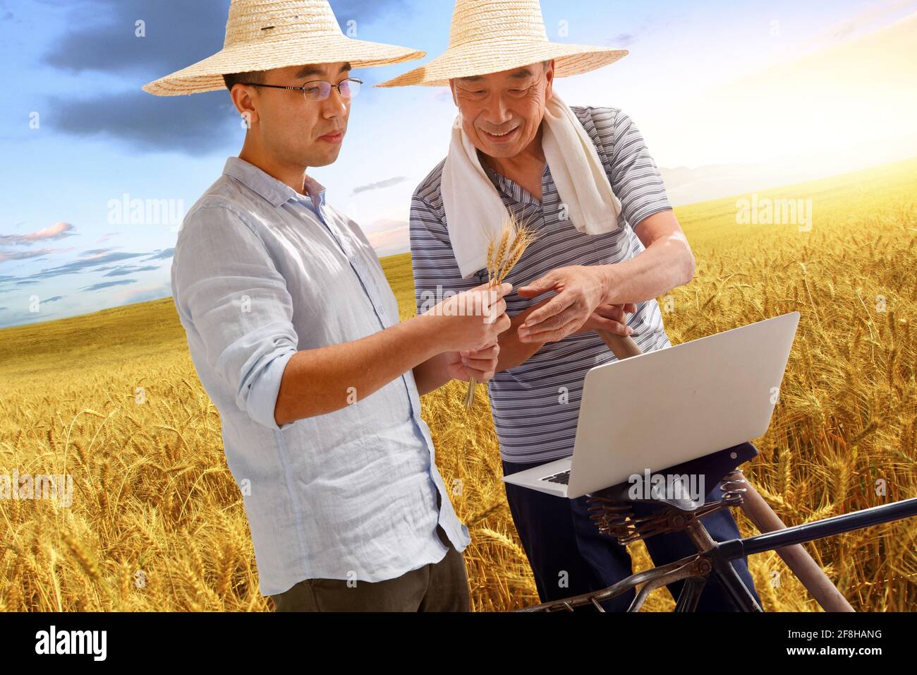Communication technology researchers and farmers Stock Photo - Alamy