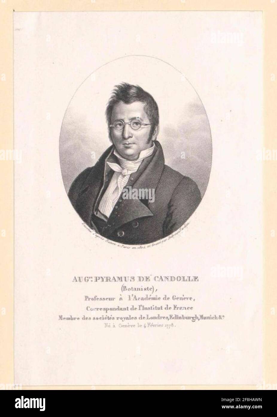 Augustin de candolle hi-res stock photography and images - Alamy