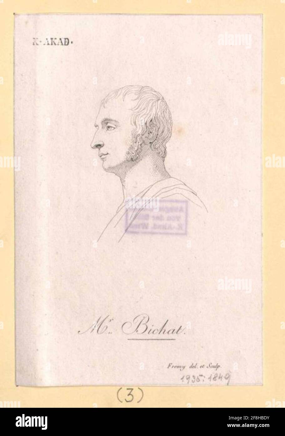 Bichat hi-res stock photography and images - Alamy