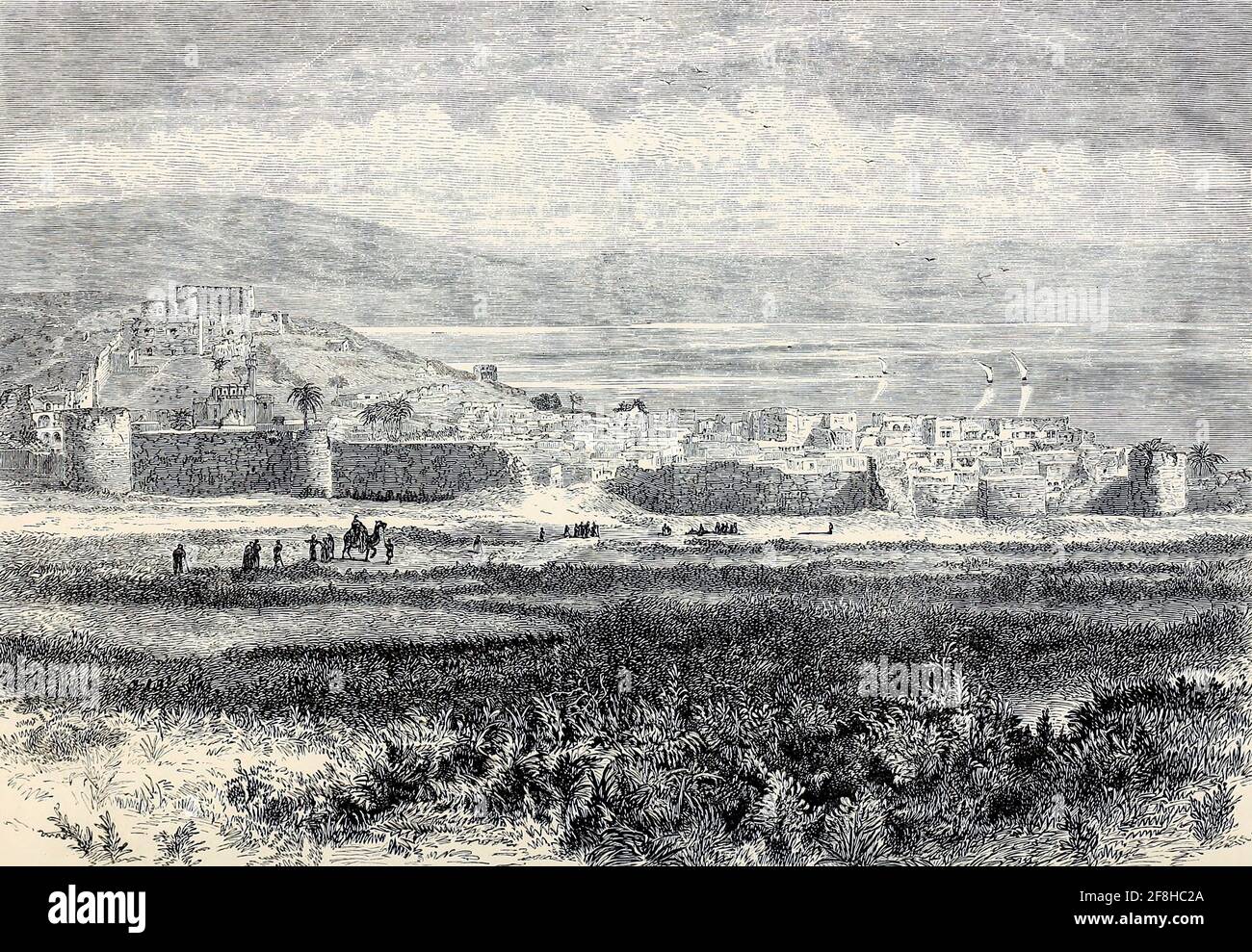 Sea of Galilee and The Town of Tiberias From the book 'Those holy ...