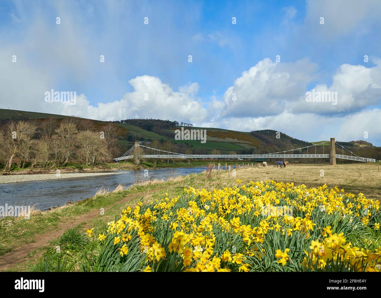 Gattonside suspension bridge hi-res stock photography and images - Alamy