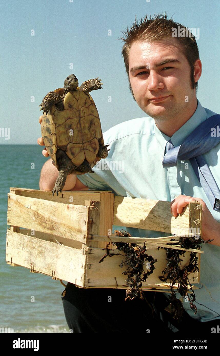 CHRIS WALKER WITH WINKLE TH TORTOISE FOUND WASHED UP ON THE BEACH AT ...