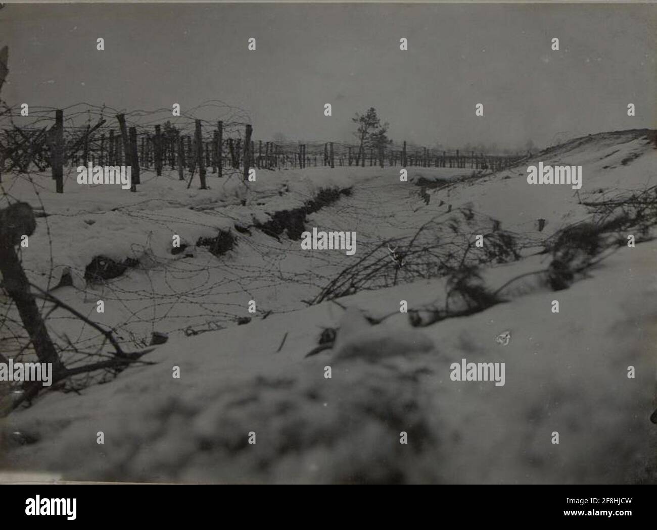 Obstacle zone prior to the positions of the Infantry Regiment 4 Stock ...