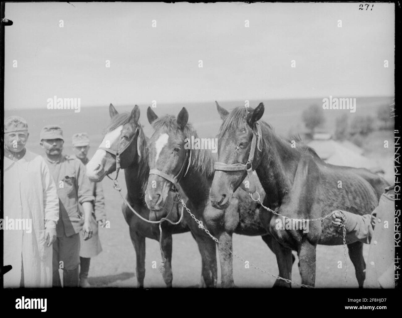Sick health Black and White Stock Photos & Images - Alamy