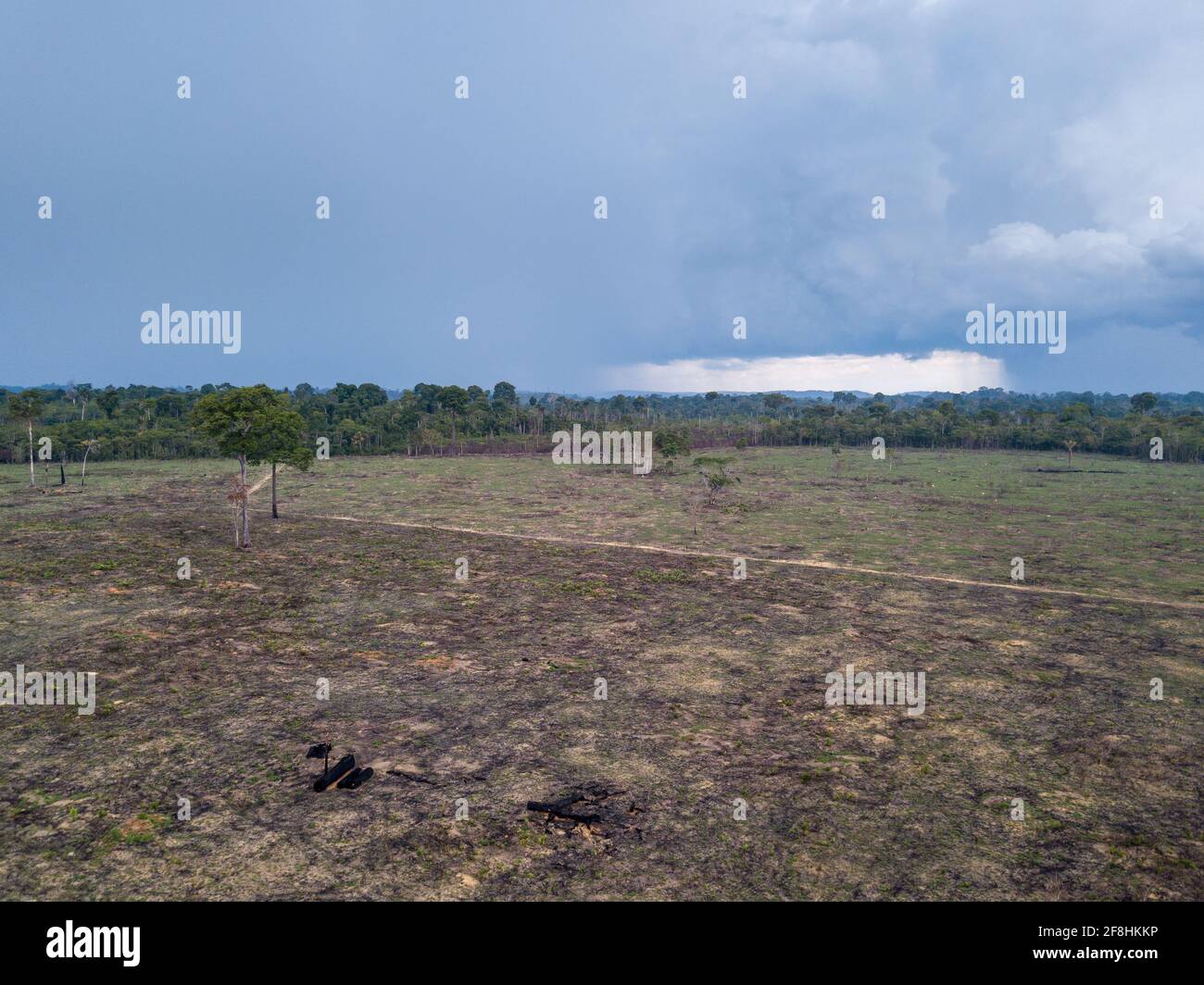 Drone aerial view of Amazon rainforest illegal deforestation landscape ...