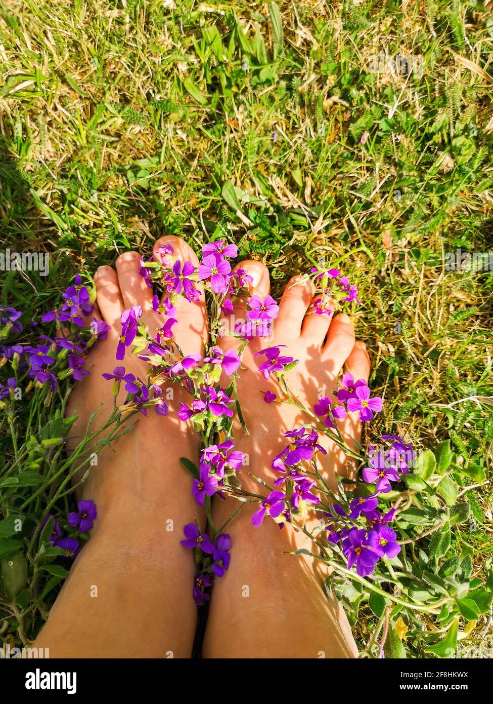 Top view of little purple flowers on a female's feet outdoor Stock ...