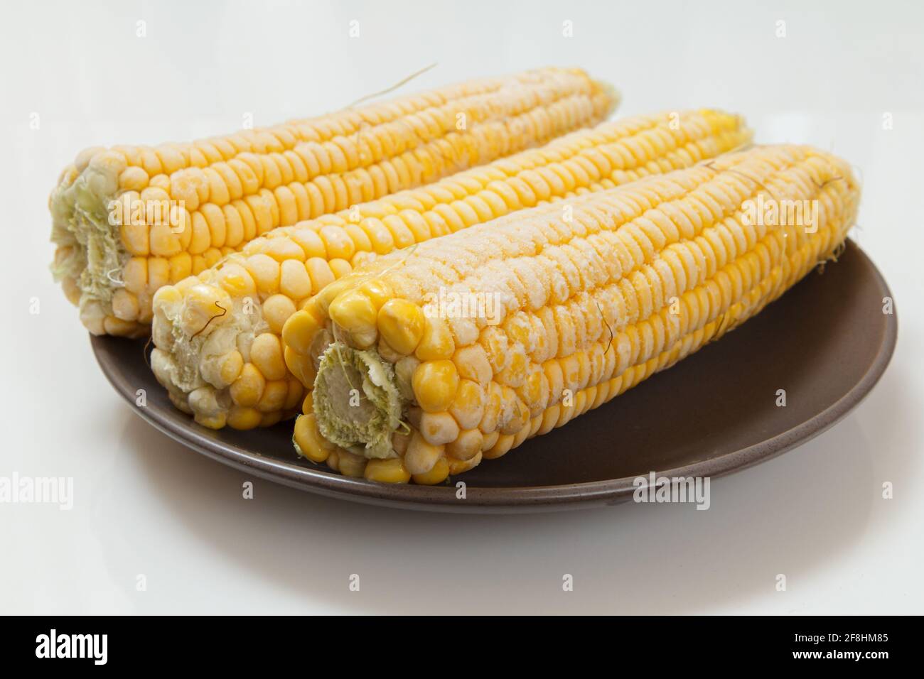 Frozen corn cobs on a porcelain plate with the white background Stock ...
