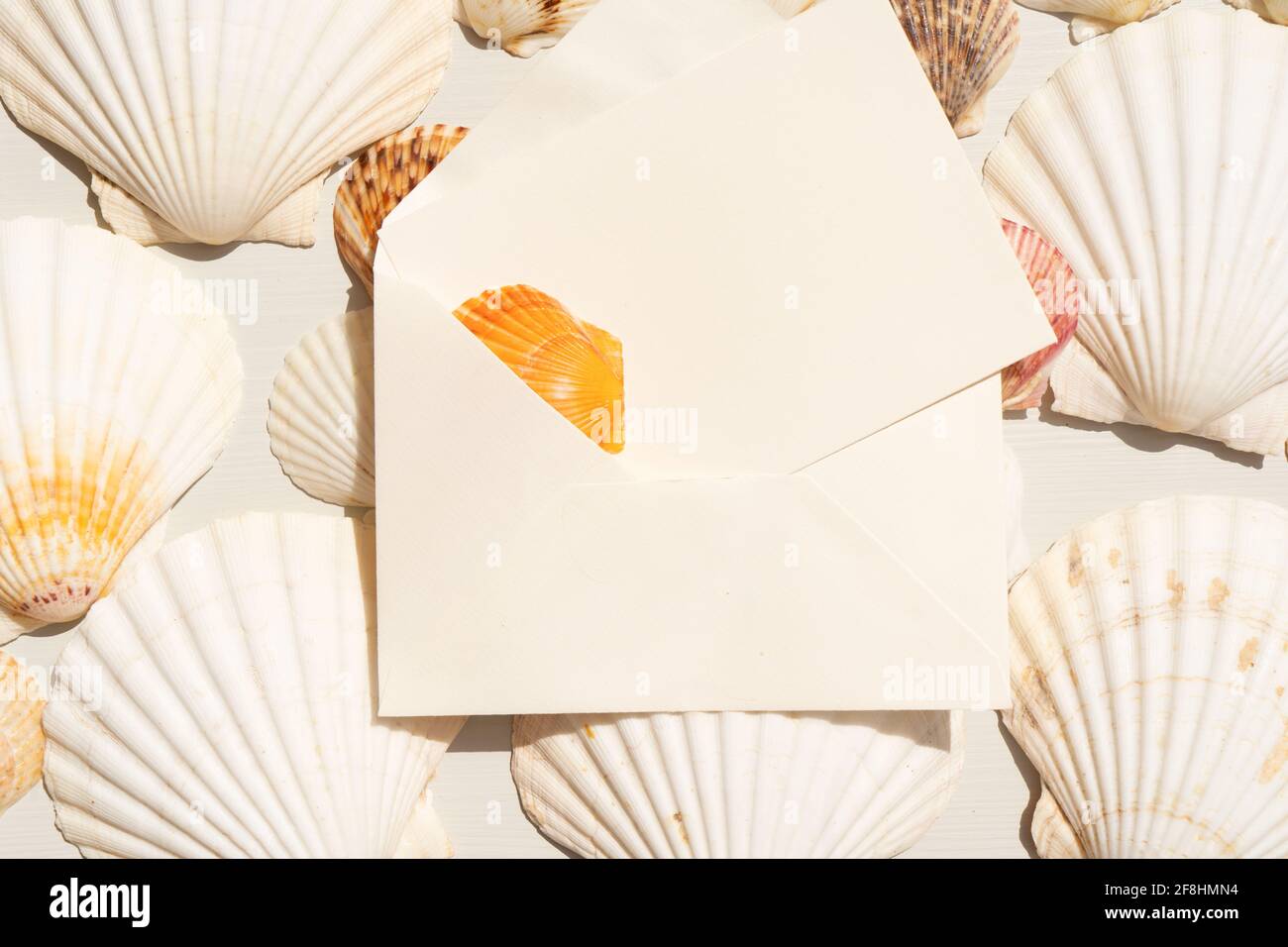 Sea shells styled stock scene Stock Photo - Alamy