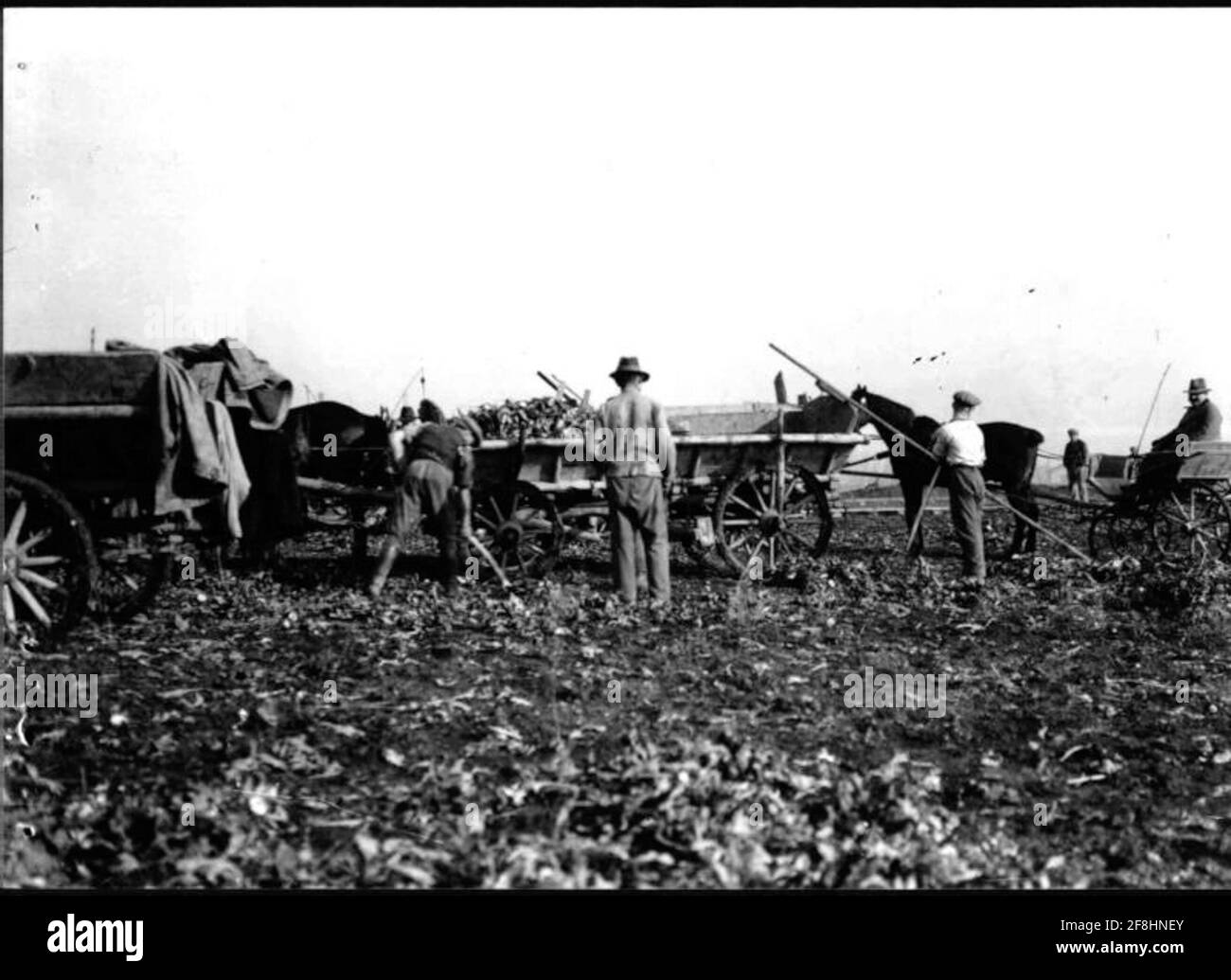 Season time Black and White Stock Photos & Images - Alamy