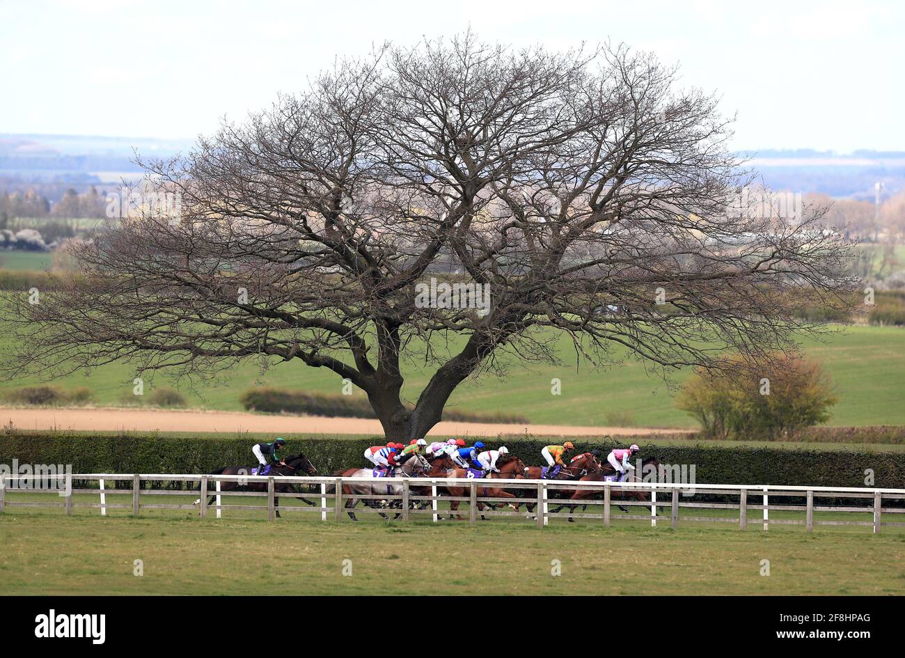 Runners and riders in the Follow Us On Twitter At Beverley Races ...