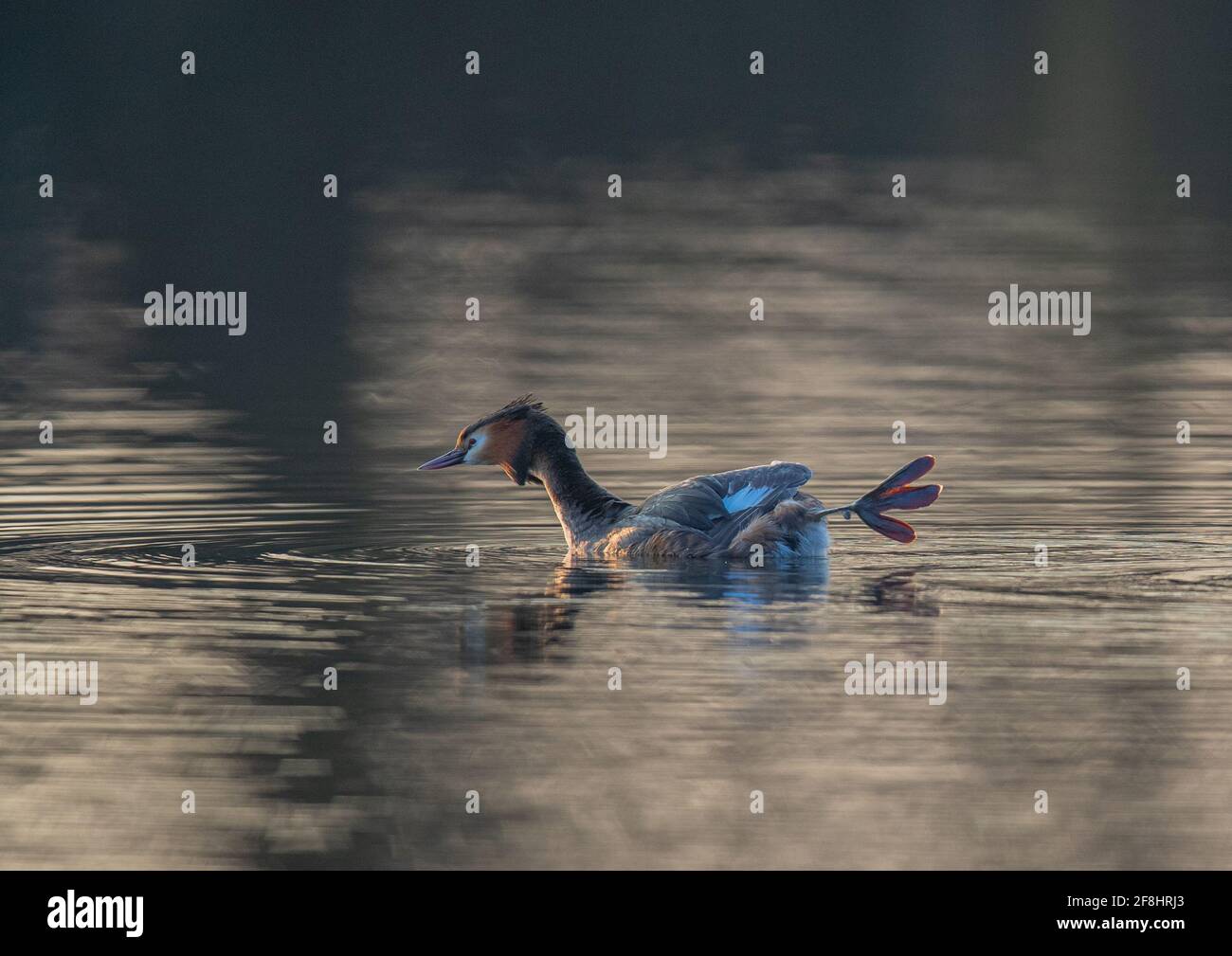Floating foot hi-res stock photography and images - Alamy