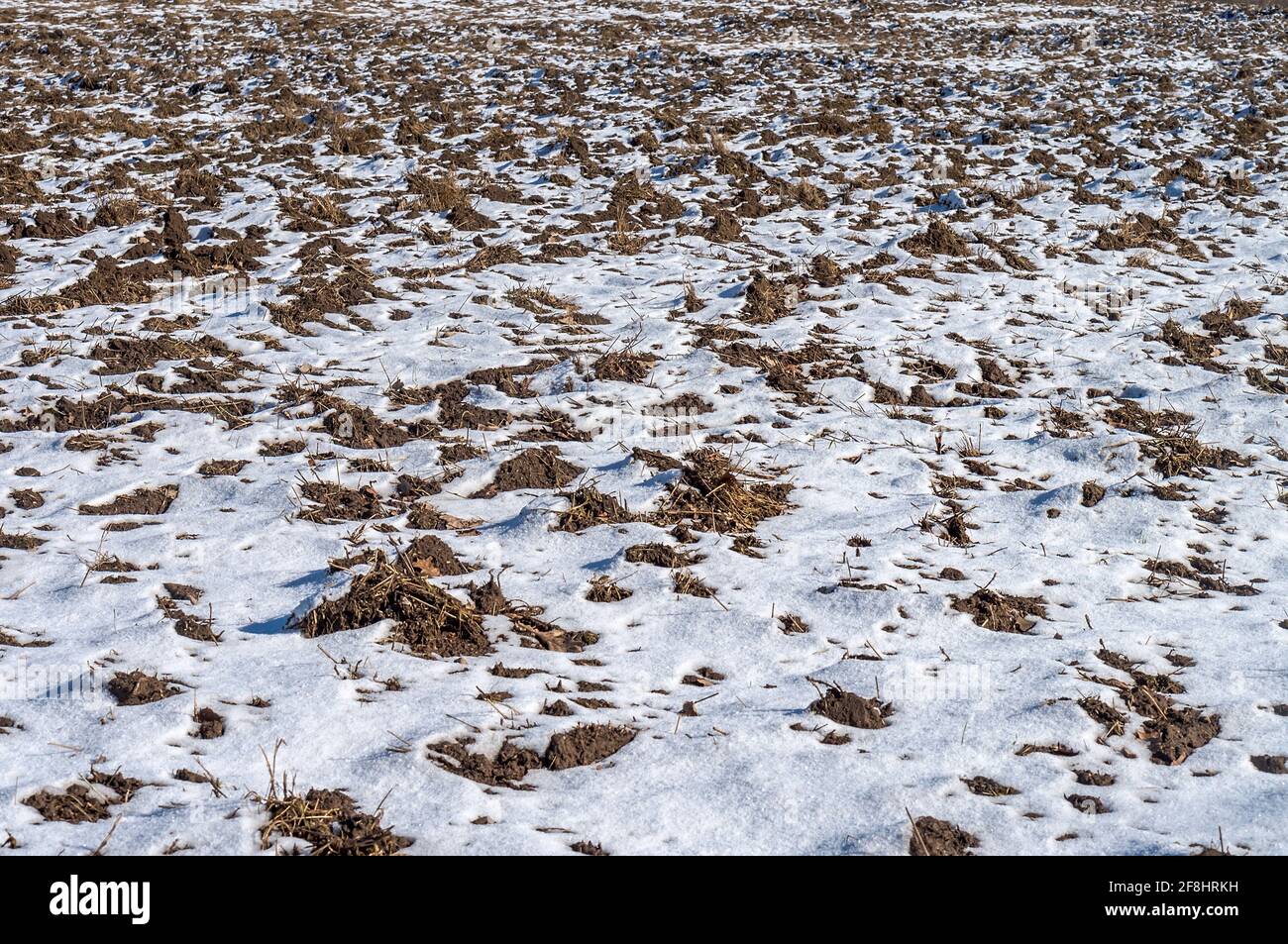 Farm fields sown. Agricultural fields plowed in early spring. Slightly ...