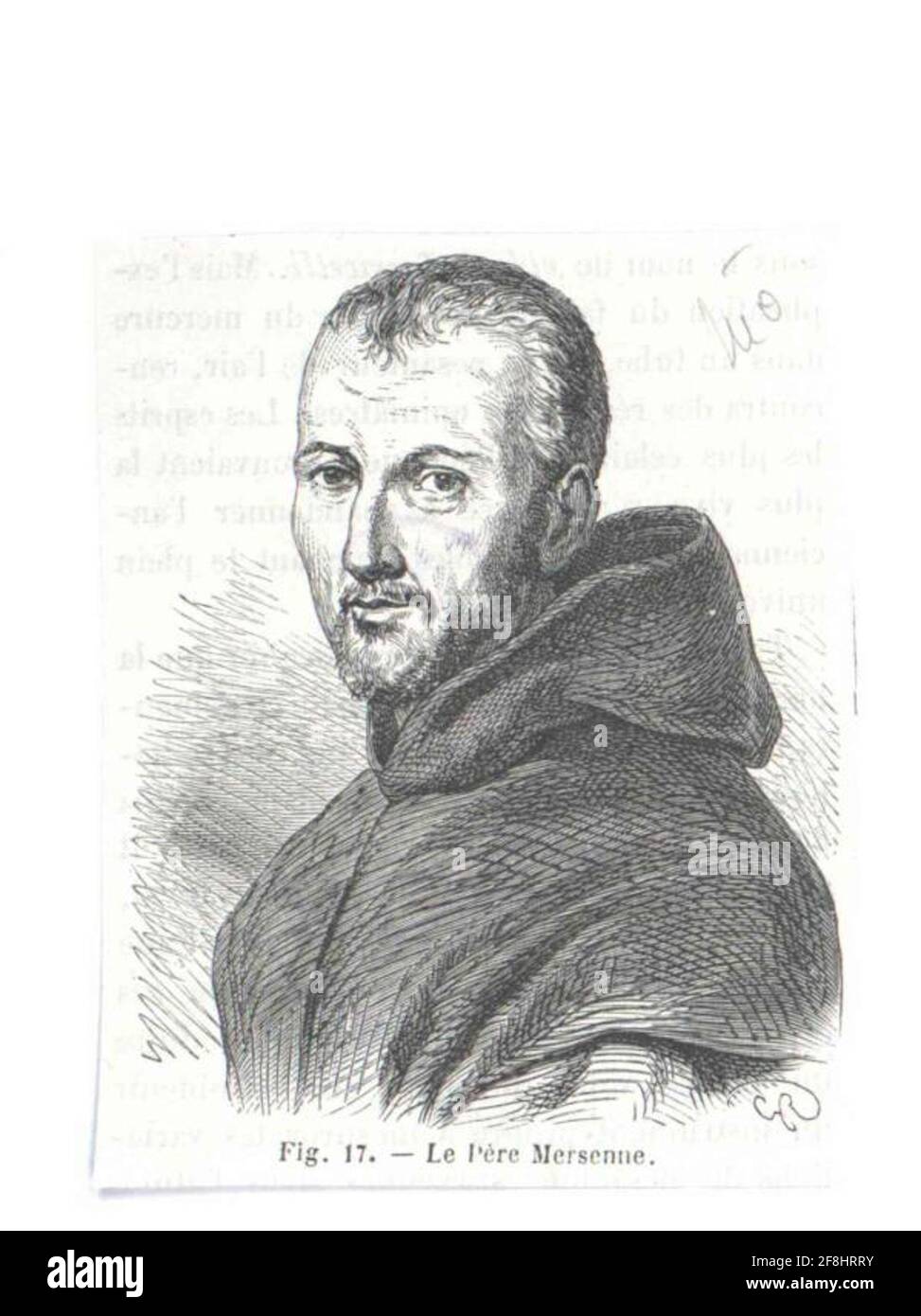 Marin Cut Out Stock Images & Pictures - Alamy