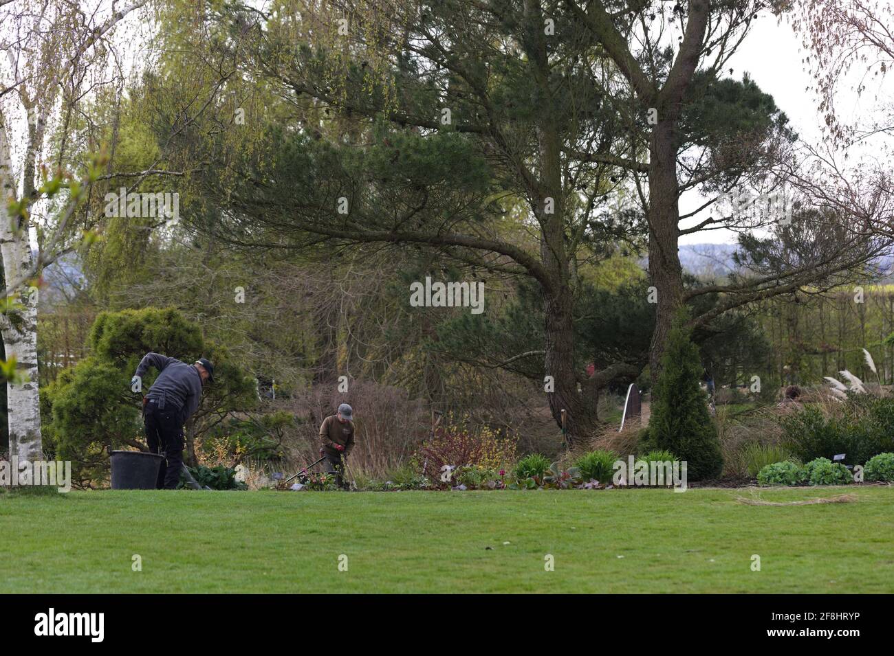 View of living trees and garden maintenance in progress at landscaped ...