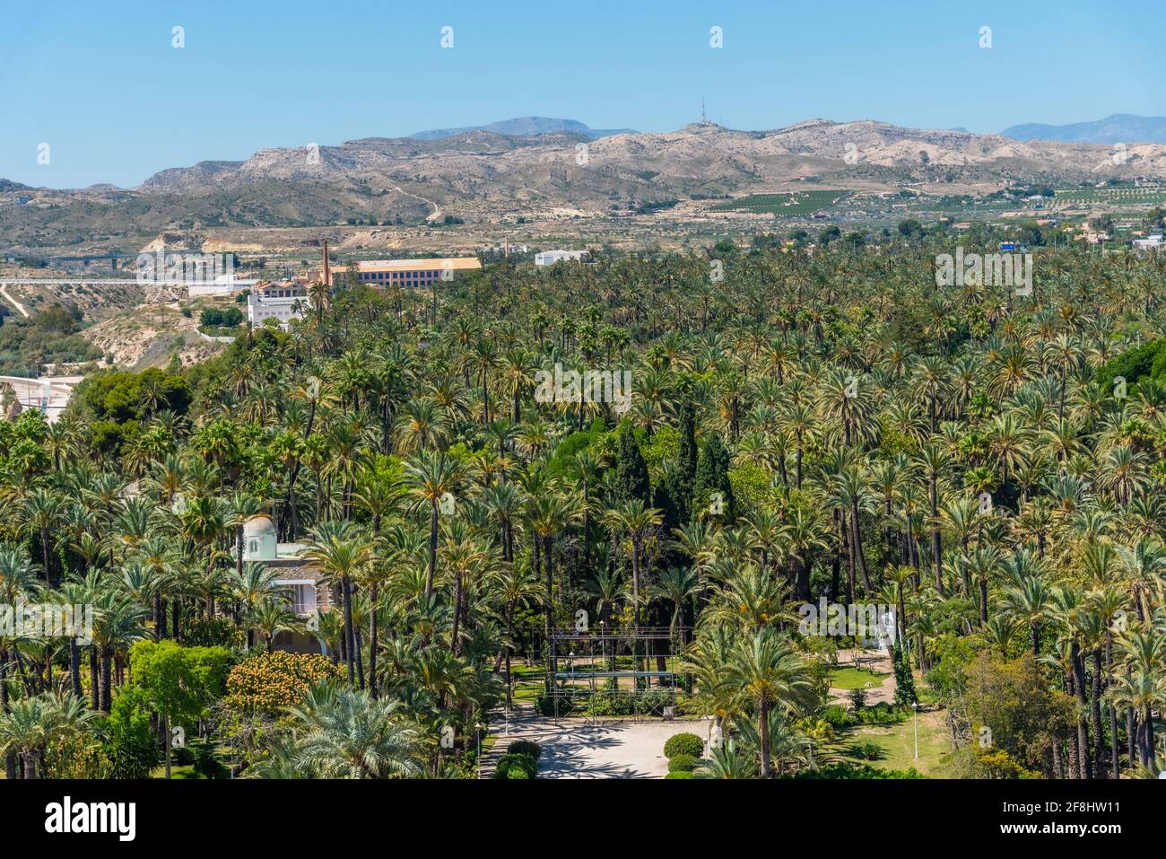Parc municipal el palmeral elche hi-res stock photography and images ...